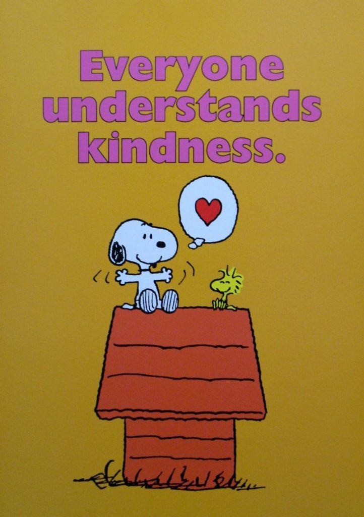 Wisdom from the Peanuts Cartoon Characters - Melanie Redd